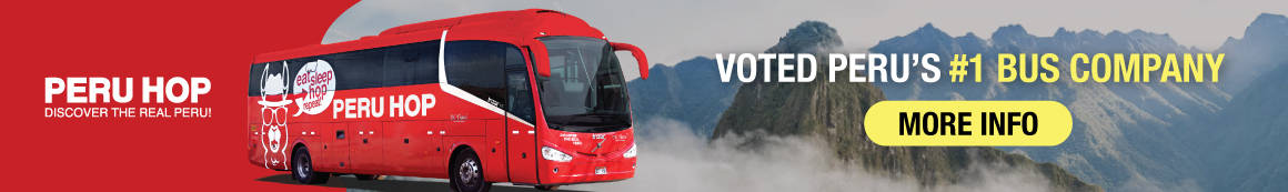 Civa Bus: 2025 Updated Info - The Only Peru Guide